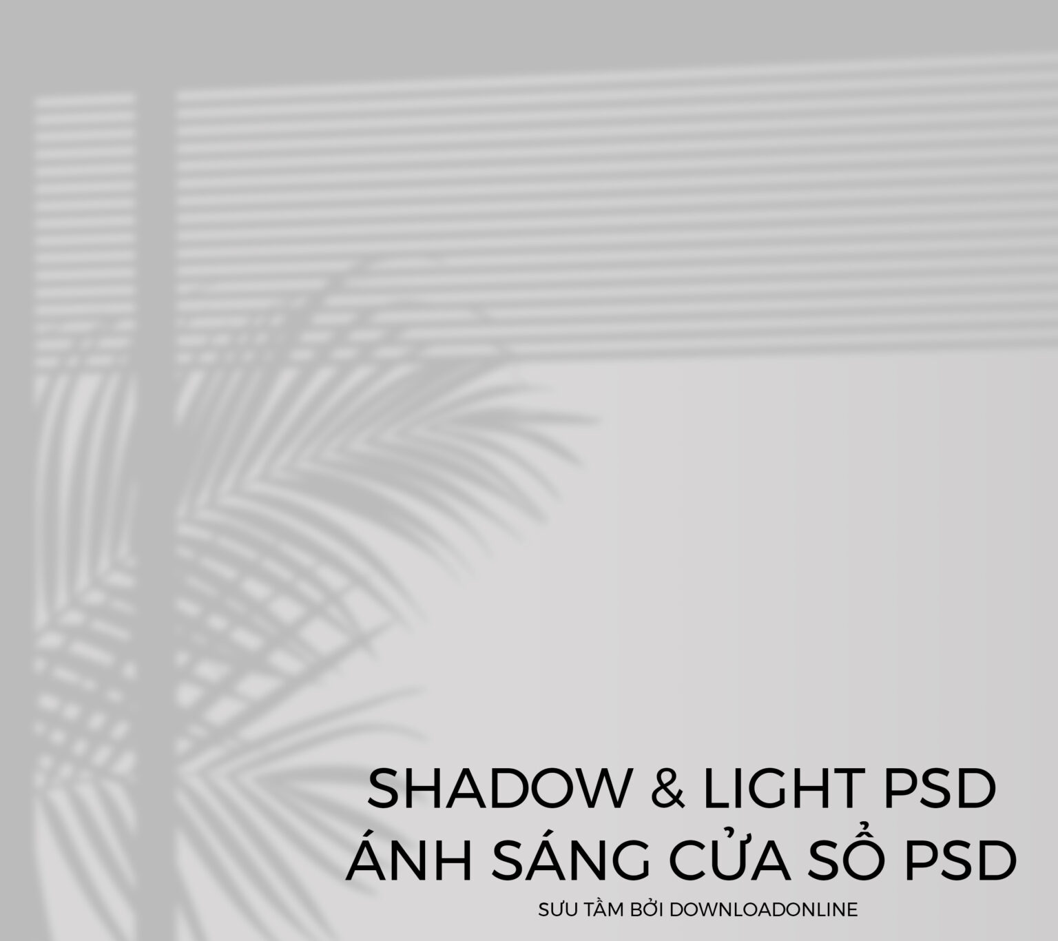 BÓNG CỬA SỔ ( SHADOW & LIGHT ) PSD - Download Online